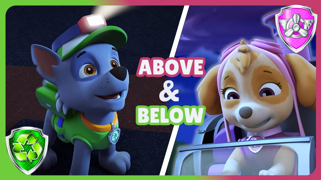 Green Means Go, Pink Means Fly! The Sky & Ground Adventures of Rocky ...