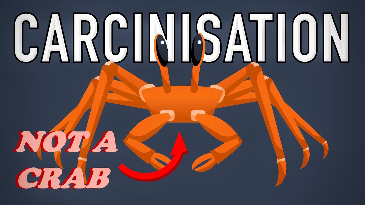 WHY IS NATURE OBSESSED WITH CRABS? ||| Carcinisation ||| - YouTube