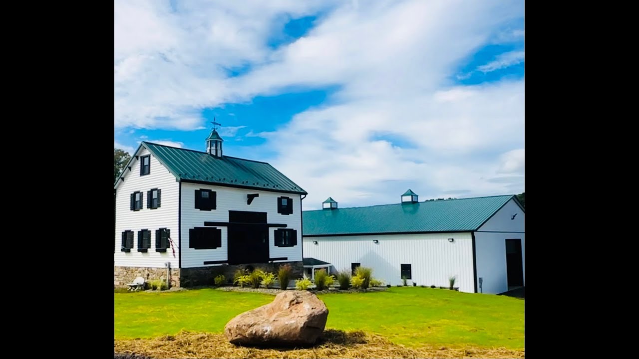 INTRODUCING DONEGAL FARMS WHERE THE ANIMALS ARE ALWAYS HAPPY & THE ...