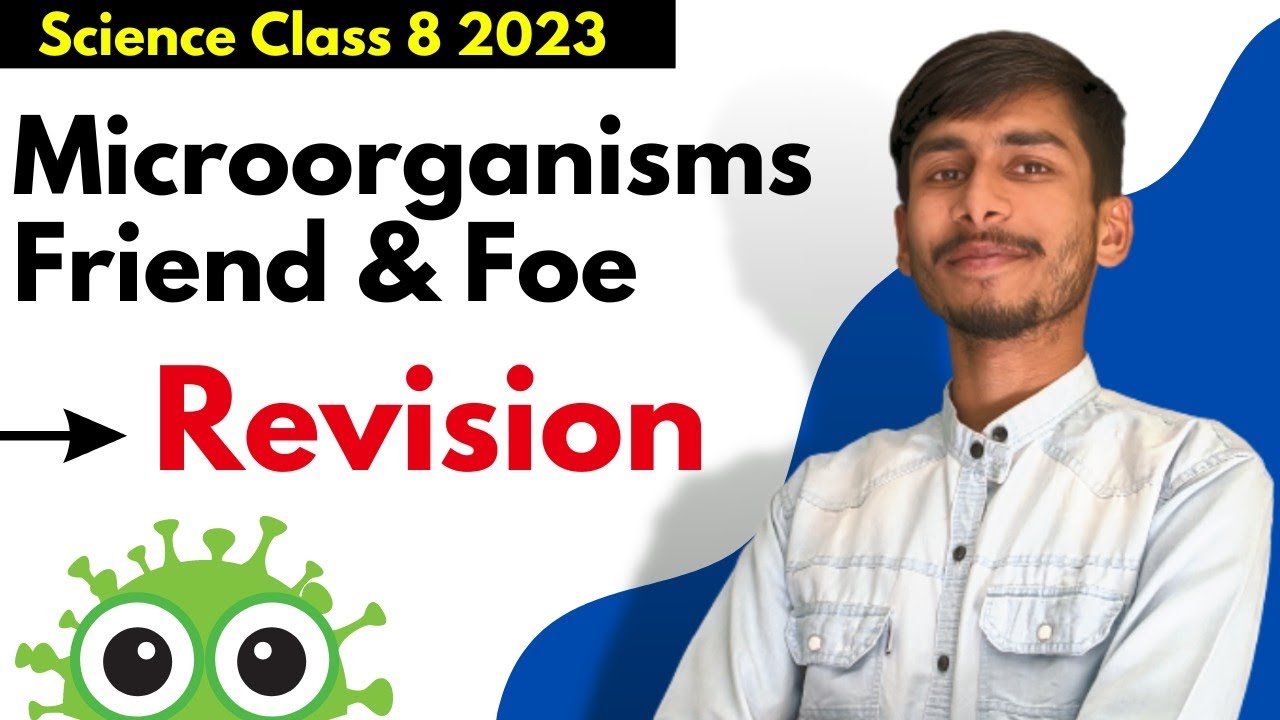 REVISION 🦠 | Microorganisms Friend & Foe | Class 8 Science chapter 2 ...