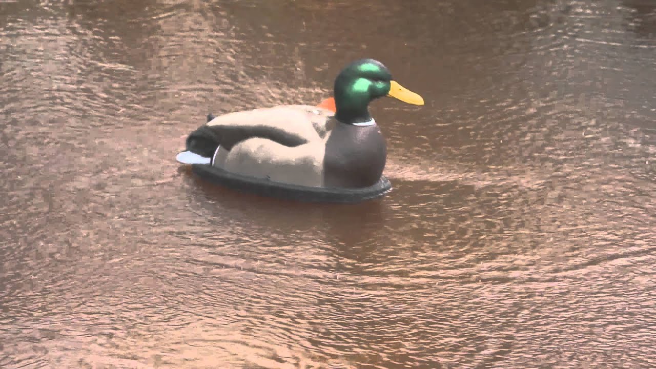 WONDERDUCK TORNADO DRAKE - YouTube