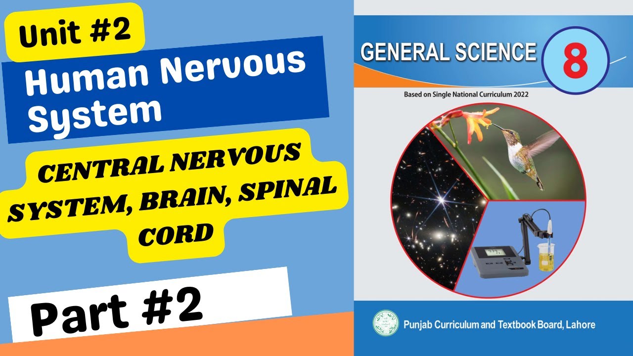 Class 8 new science book chapter 2 part 2 || Human Nervous System ...