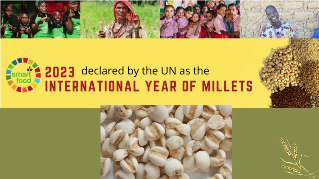 Millets the Miracle Food of the Future - YouTube