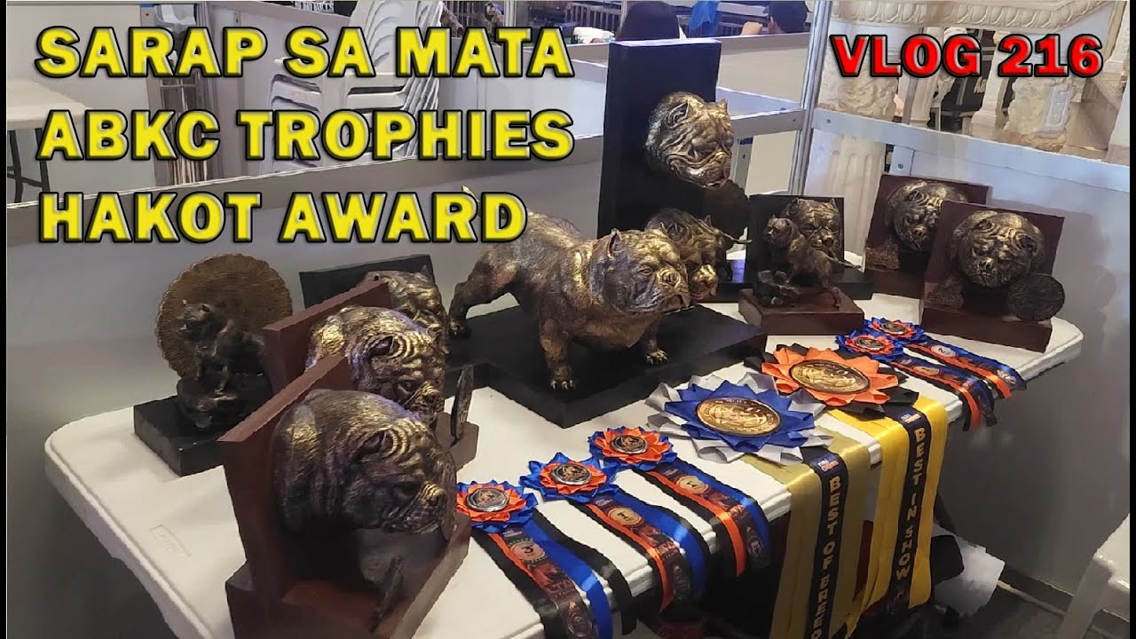 LAKI NG TROPHIES SARAP SA MATA HAKOT AWARD ABKC SHOW AMERICAN BULLY DOG ...