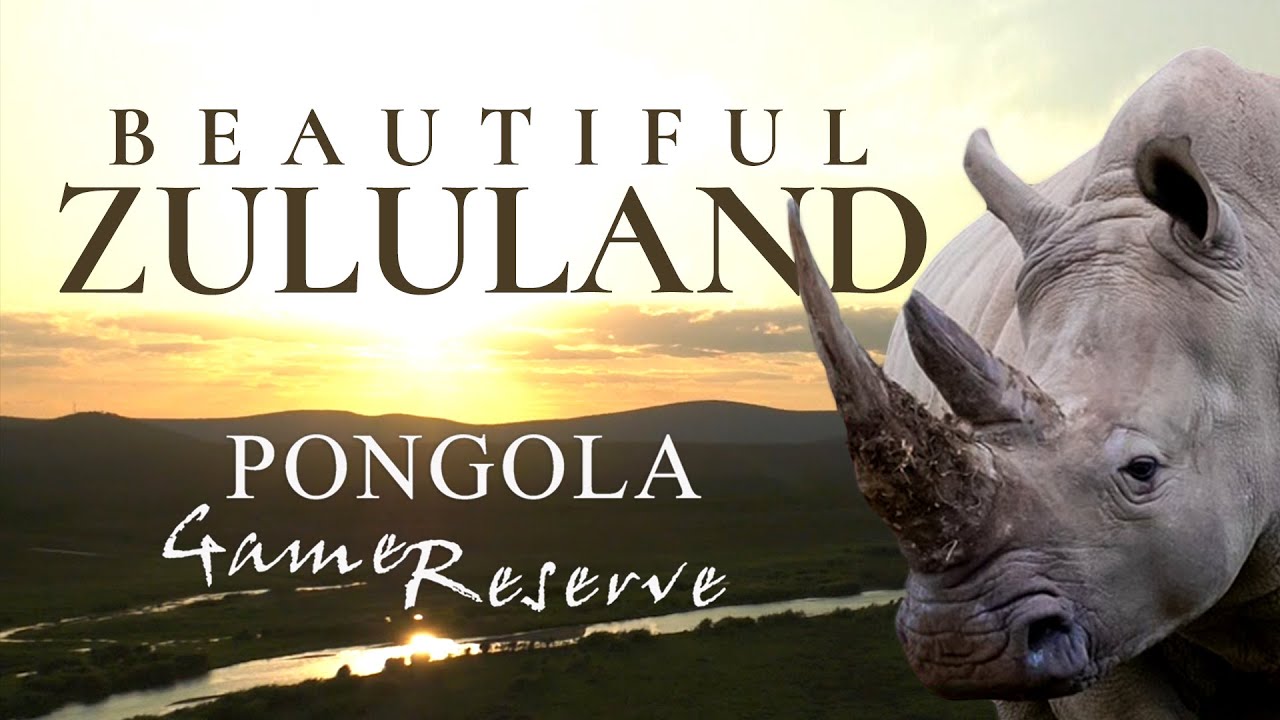 BEAUTIFUL ZULULAND - Amazing shots of the Pongola Game Reserve in South ...