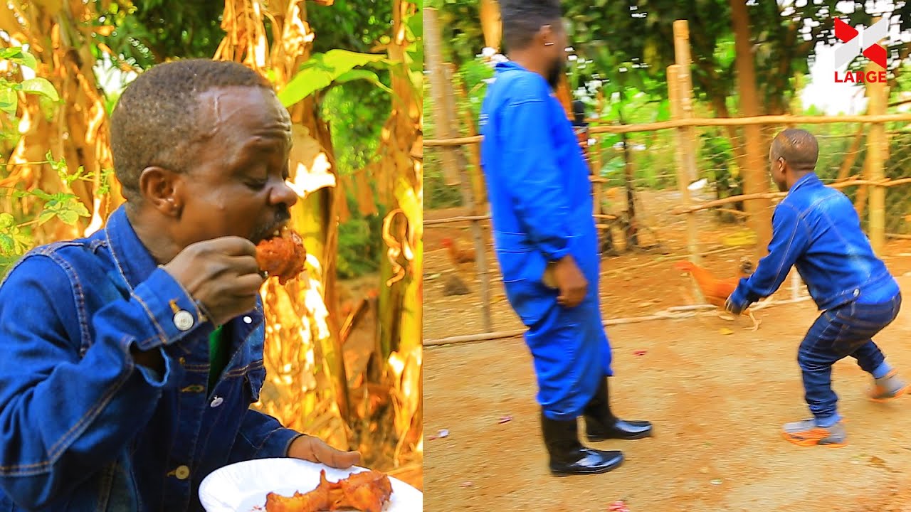 NZOVU akigera kwa AMA G yakirijwe iminopfo y'inkoko😂/Yirukanyije inkoko ...