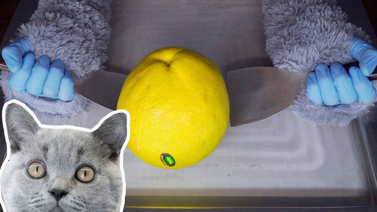 CAT Makes Pomelo ICE Cream Rolls / How to Make Pomelo Ice Cream Rolls ...