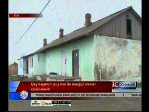 Qeyri qanuni quş ovu ilə məşğul olanlar cərimələnib