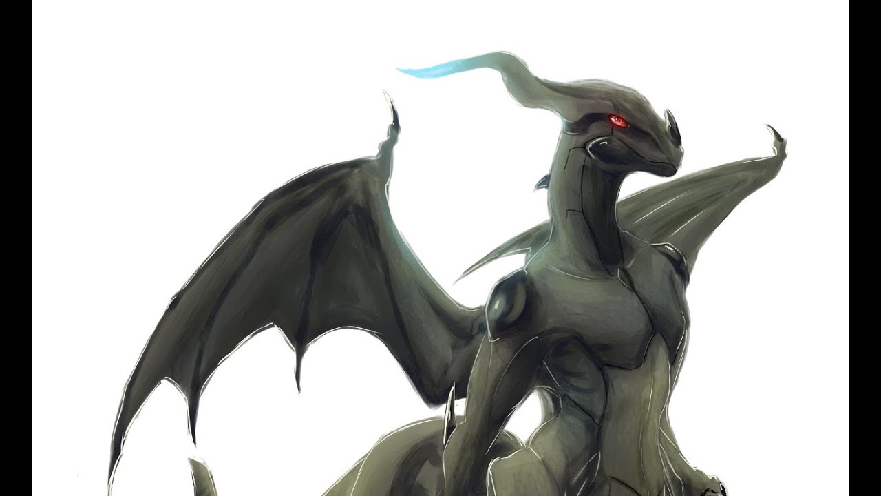 Zekrom In Real Life
