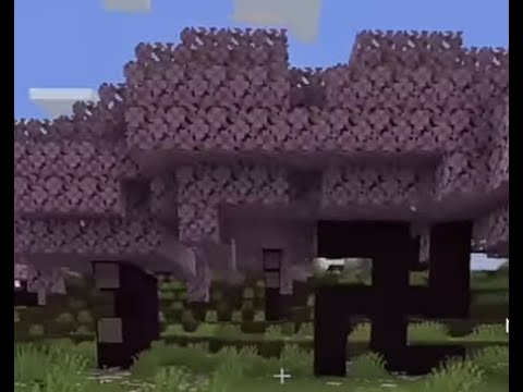 luzny live z Survival - YouTube