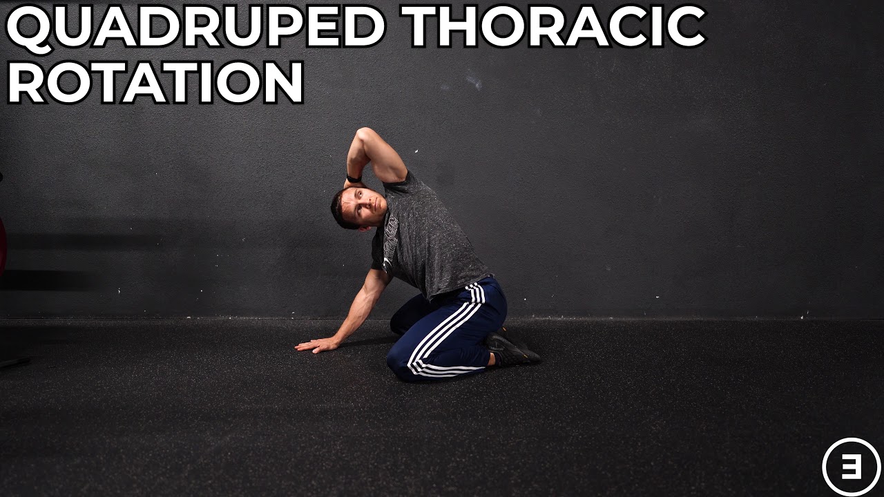 Quadruped Thoracic Rotation - YouTube