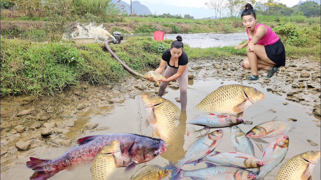 Top video: Catching fish/Using a water pump to catch fish,casting nets ...