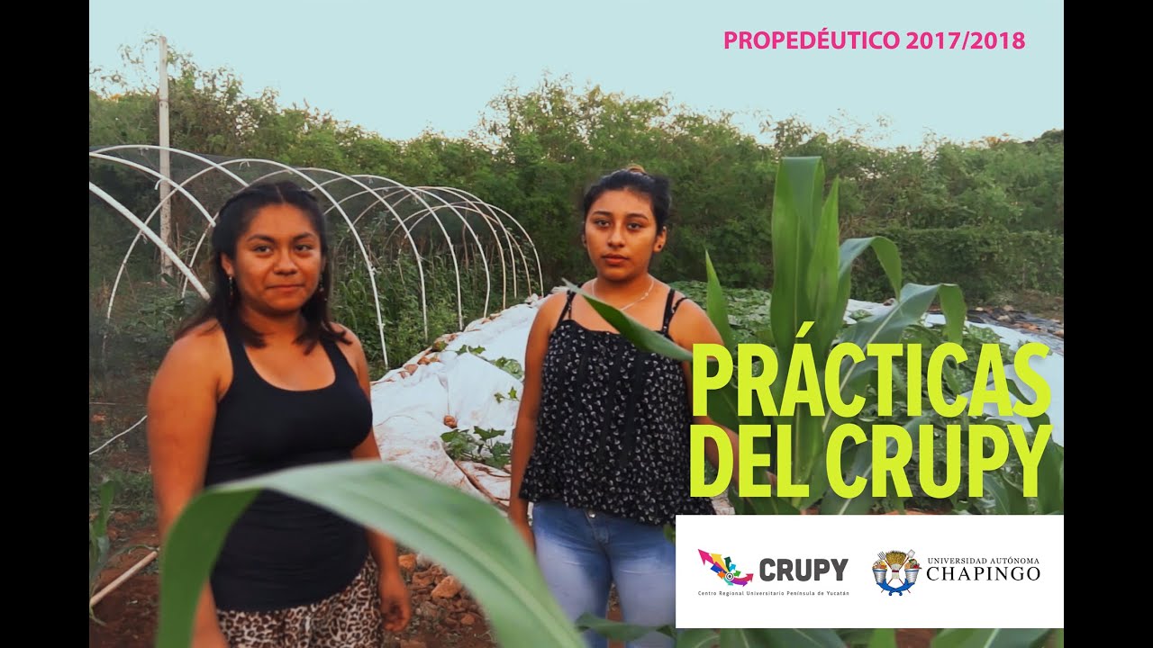 Parcela de Prácticas del CRUPY - YouTube