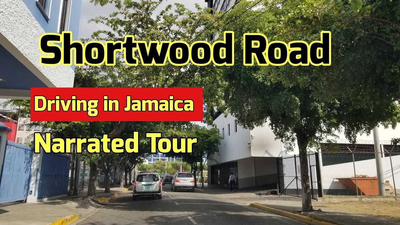 Shortwood | Jamaica - YouTube