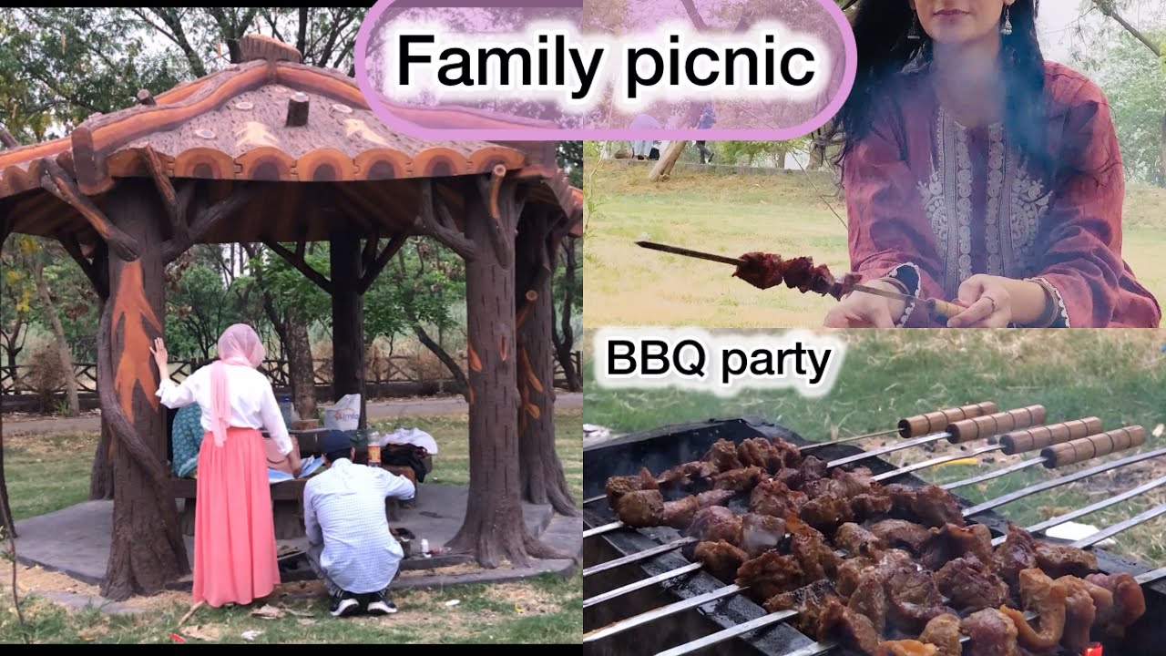 Family day out || picnic day with family || BBQ party and BBQ recipe ...