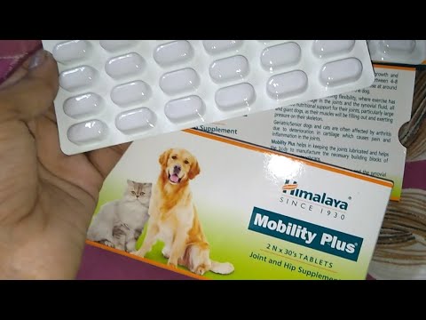 himalaya mobility plus tablets for dogs and cat - YouTube
