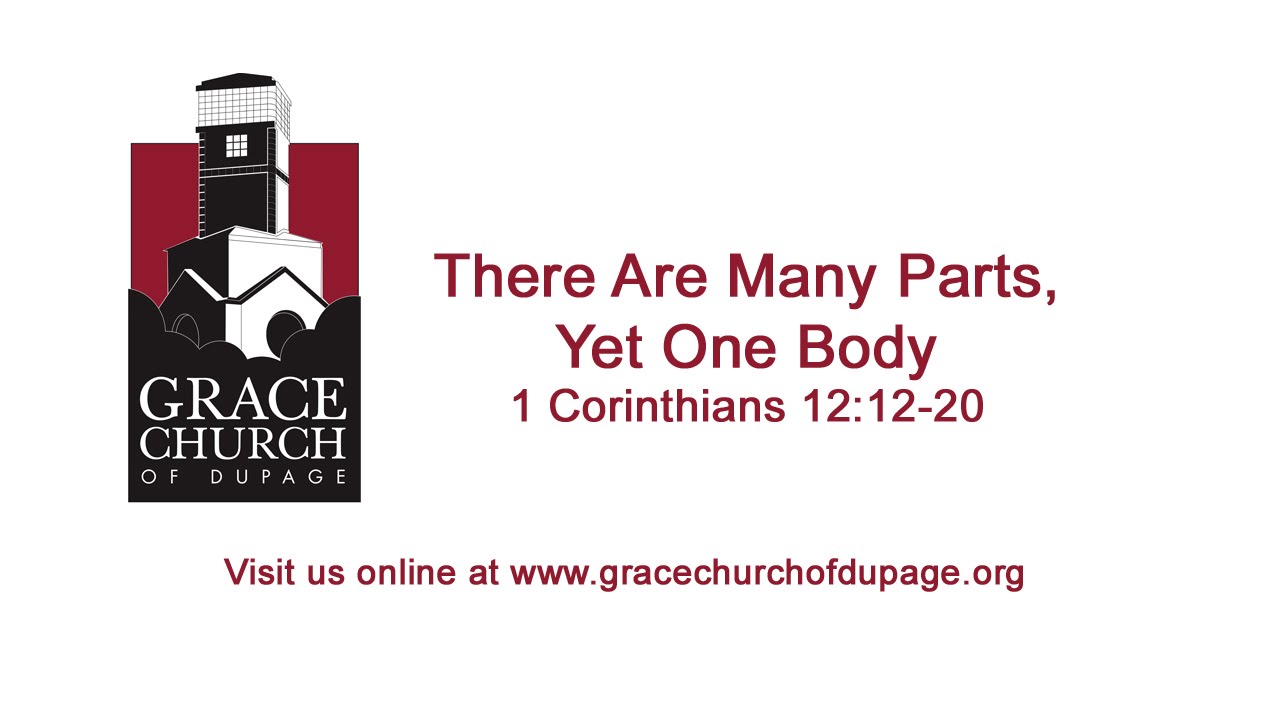 There Are Many Parts, Yet One Body - 1 Corinthians 12:12-20 - YouTube
