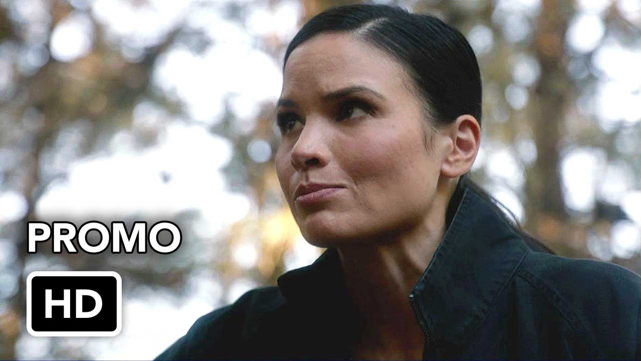 NCIS 20x04 Promo "Leave No Trace" (HD) Season 20 Episode 4 Promo - YouTube