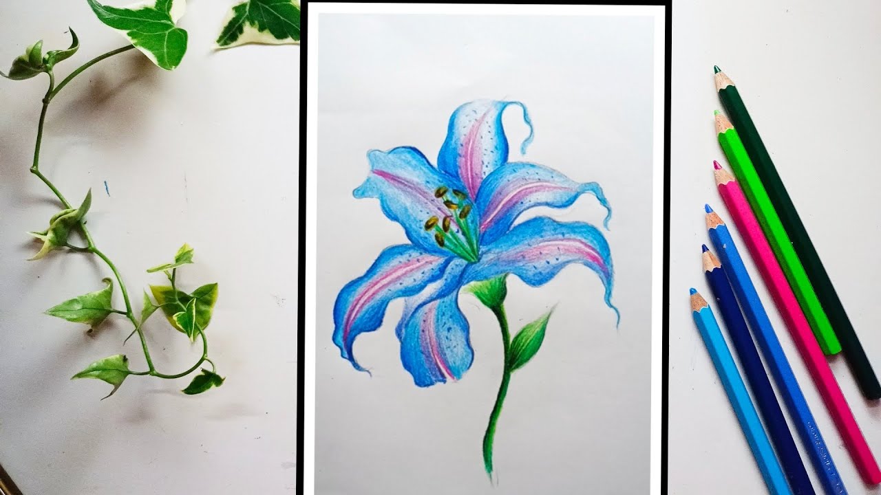 colour pencils drawing/easy colour pencils drawing - YouTube