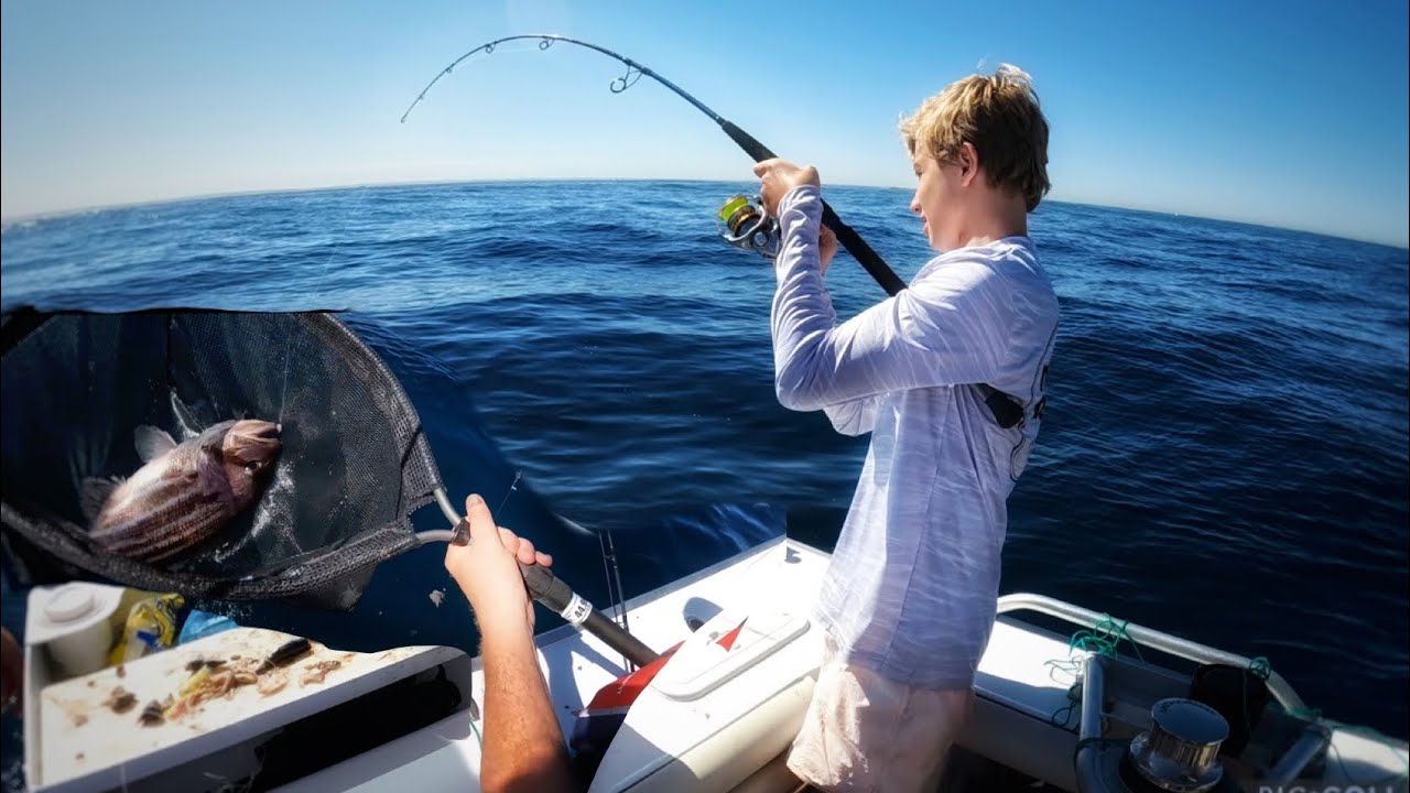 Catching Dhufish Western Australia! CATCH AND COOK - YouTube