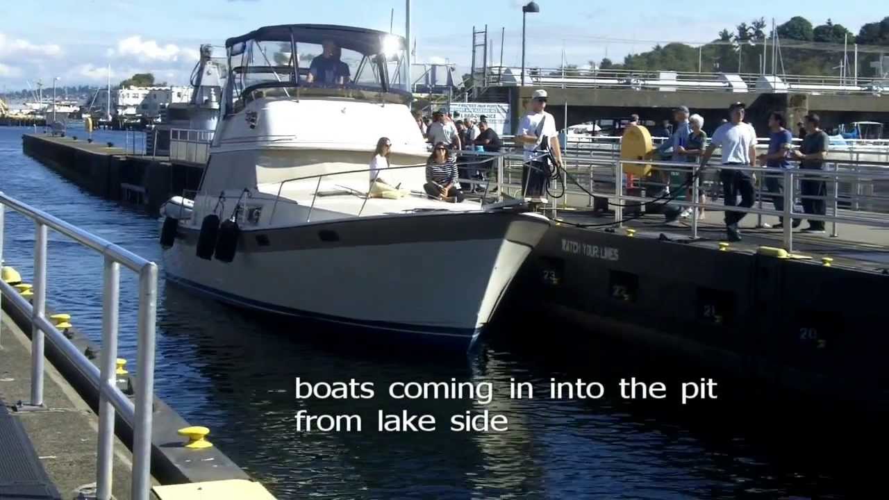How Seattle's Ship Canal works ( for maritime traffics ) - YouTube