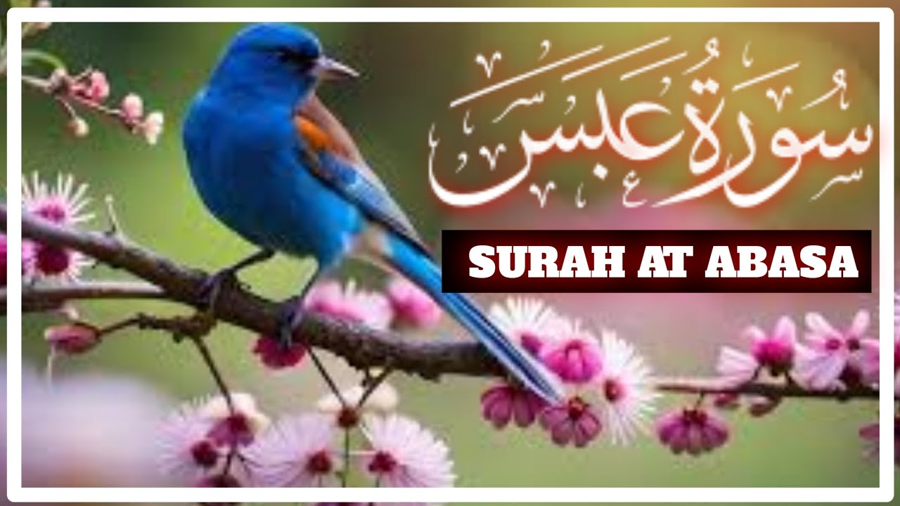 Surah Abasa He Frowned Full Recited Sheikh qari ameer hamza With Arabic