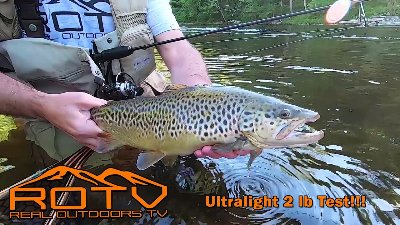 GIANT BROWN TROUT on 2 lb Test - Ultralight Tackle - YouTube
