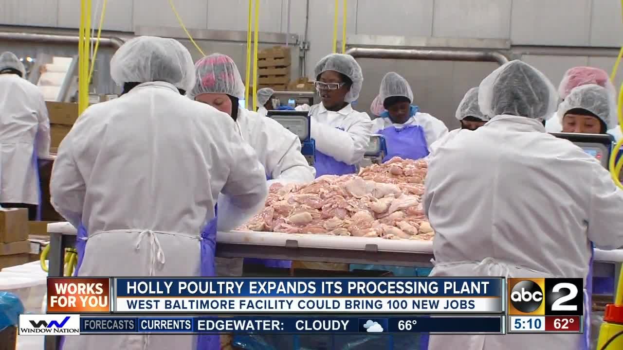 Holly Poultry expands West Baltimore processing plant - YouTube
