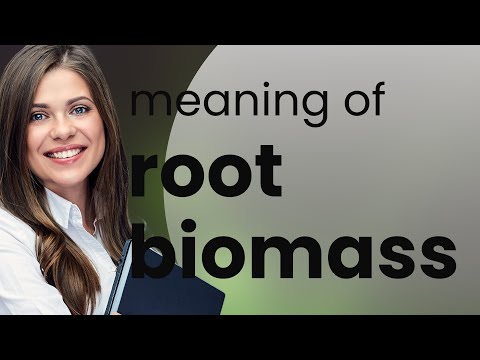 How Much Of A Plants Biomass Is Roots