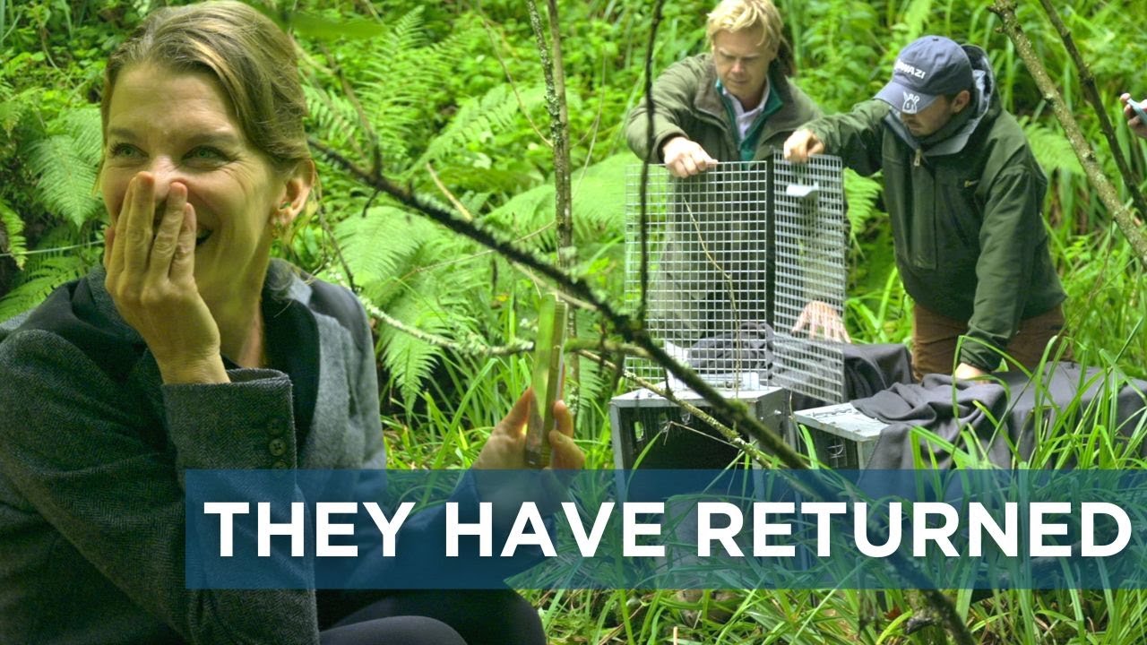 400 Years Later - Look What's Returned to our Manor! - YouTube