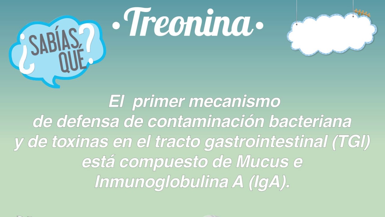 Conoce la Treonina, un aminoácido esencial en la dieta del ave - YouTube