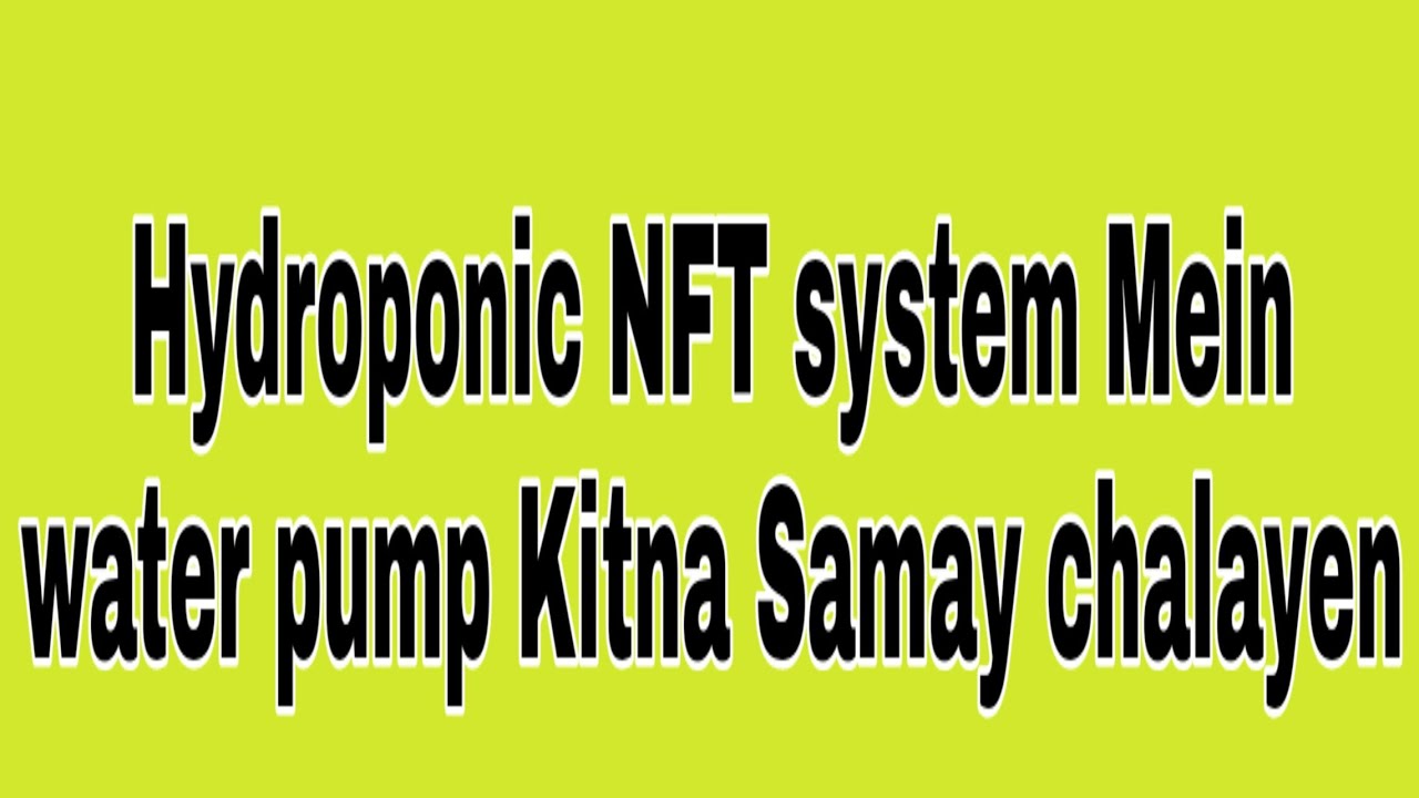 Hydroponic NFT System main water pump Kitna time chalana chahie - YouTube