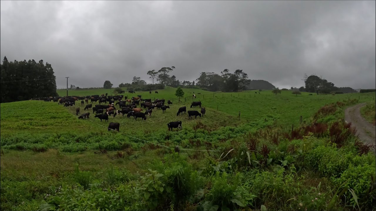 Back from holiday early ,340 mls of rain and over 700 mls for the month ...