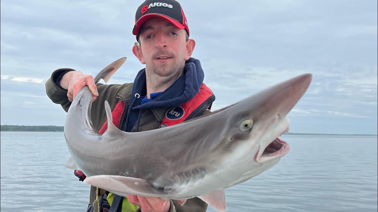 Fishing Luce Bay 20th May 2023 - YouTube