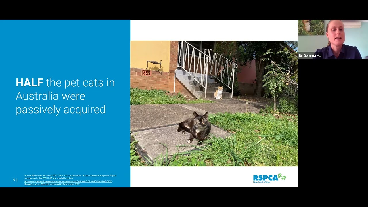 Keeping Cats Safe at Home program - webinar - YouTube