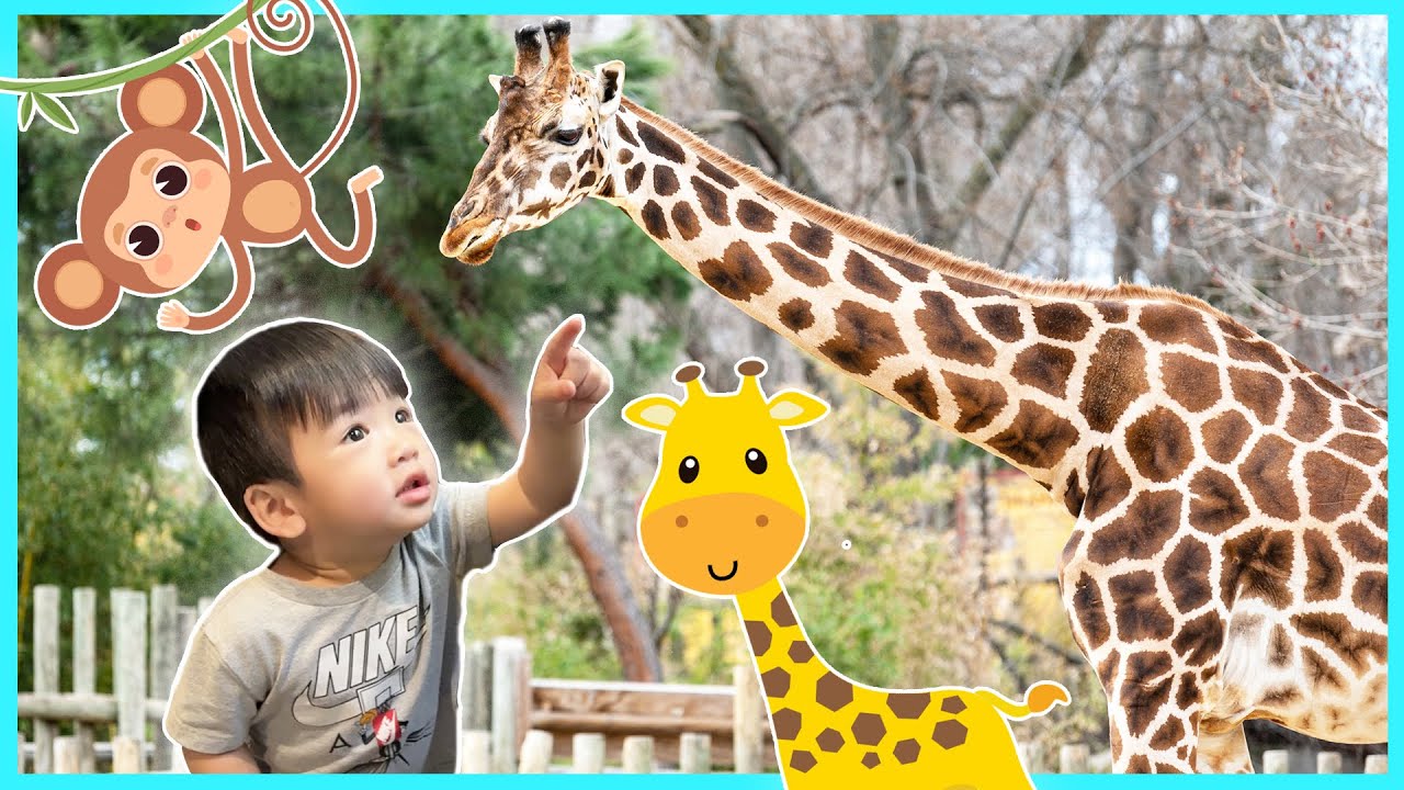 Kid Kobe Visits a Zoo And Learns About Animals! - YouTube