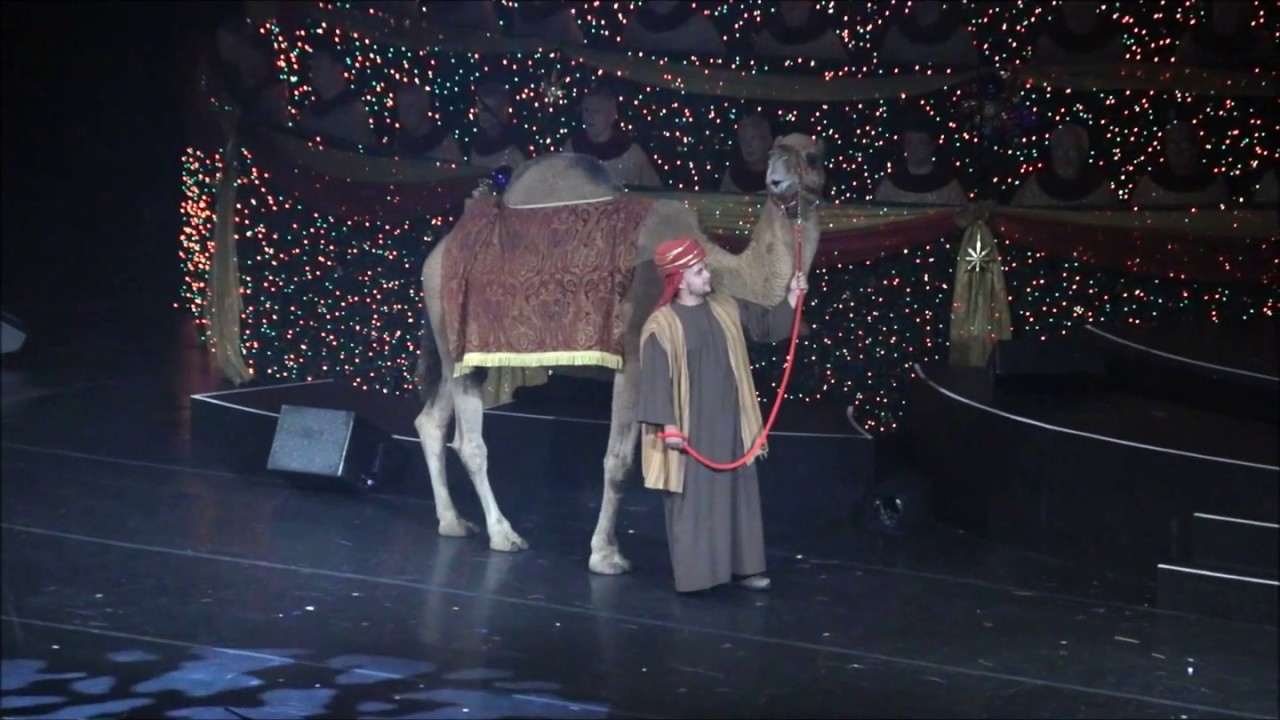 The Singing Christmas Trees 2019 - YouTube