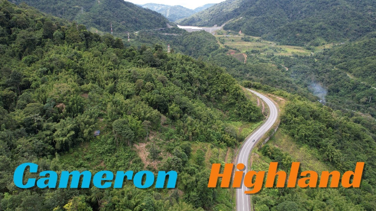 Exploring the Enchanting Beauty of Cameron Highlands 🌿 | A 2-Min Travel ...