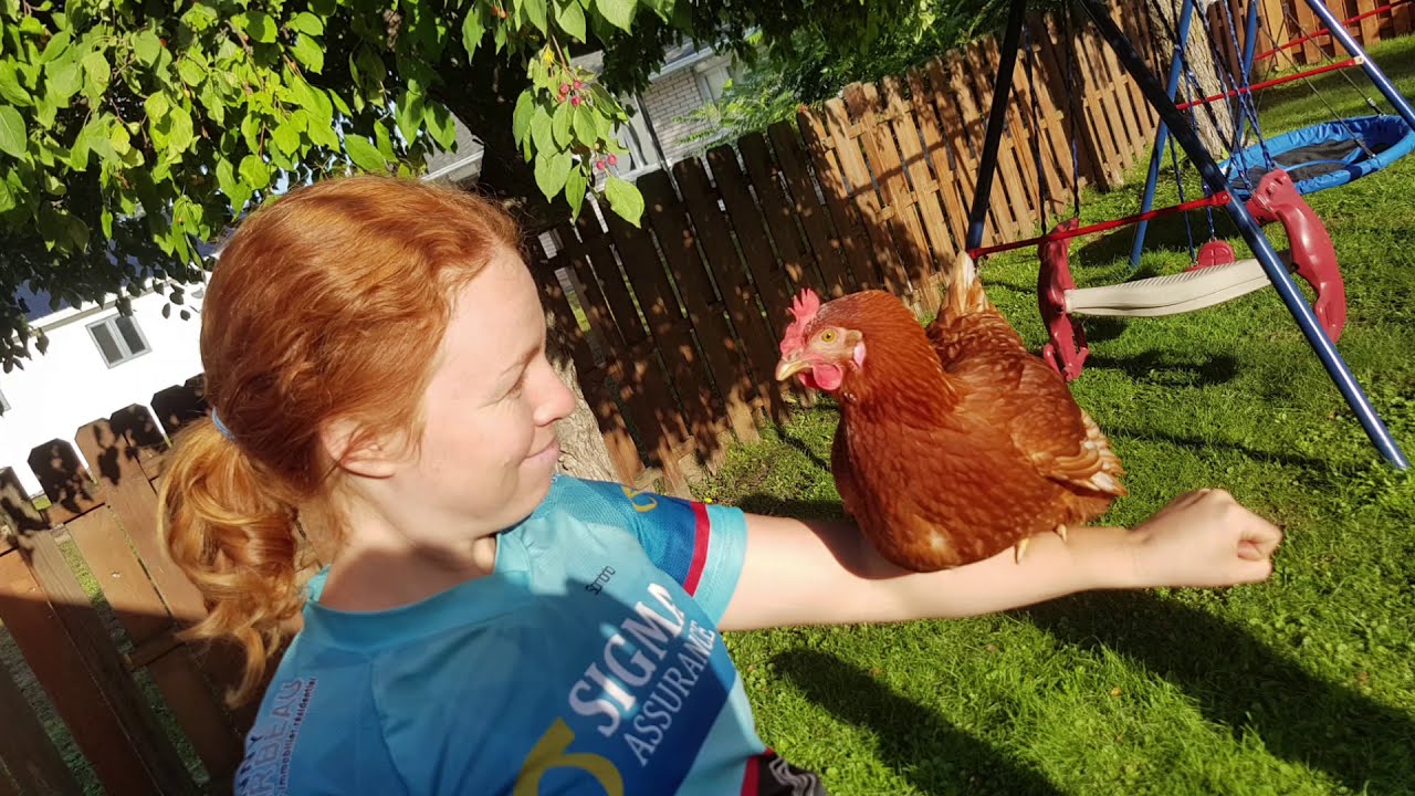 WWOOF Canada Contest 2020: Why are you WWOOFing now? - YouTube