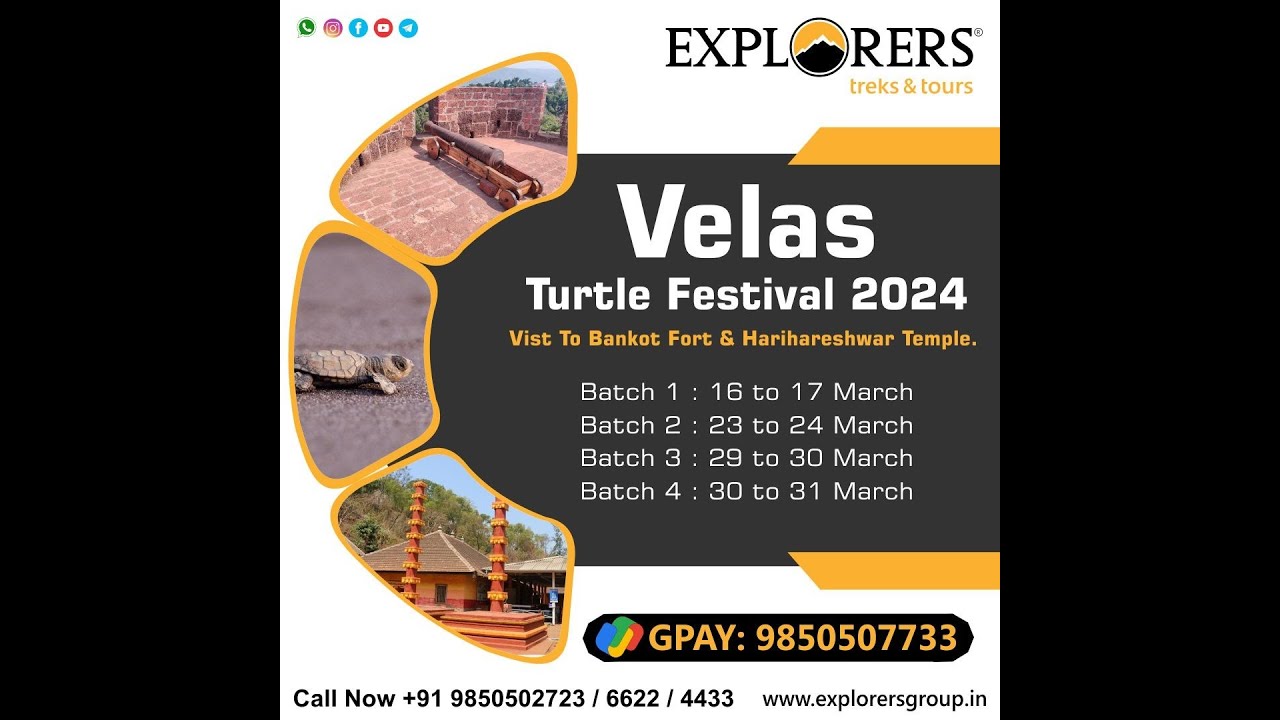 Velas Turtle Festival 2024 - YouTube