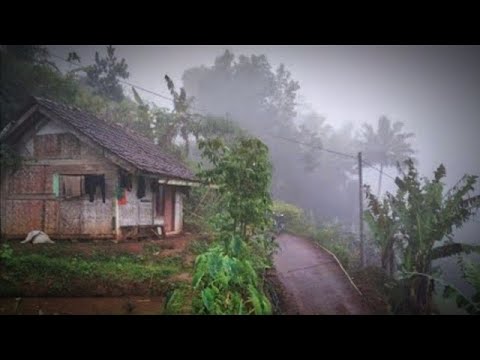 Relaxing Rain And Thunderstorm In Foggy Forest - Rain And Thunder ...