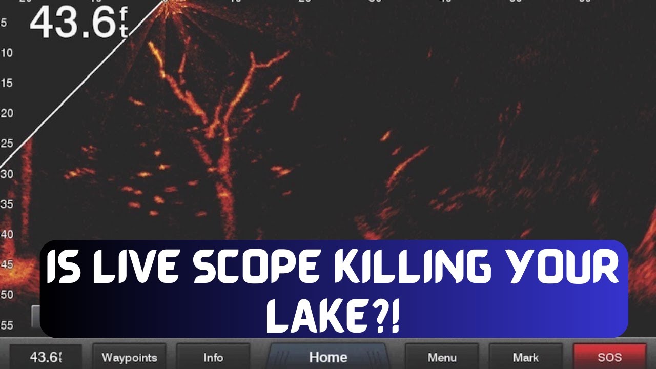 This state is blaming live scope for hurting it's lakes! Agent credits ...