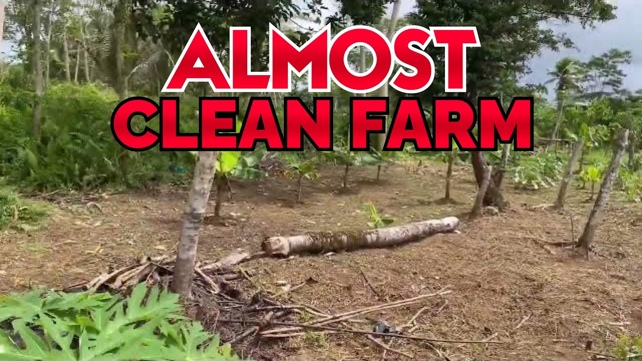 ALMOST CLEAN FARM - YouTube