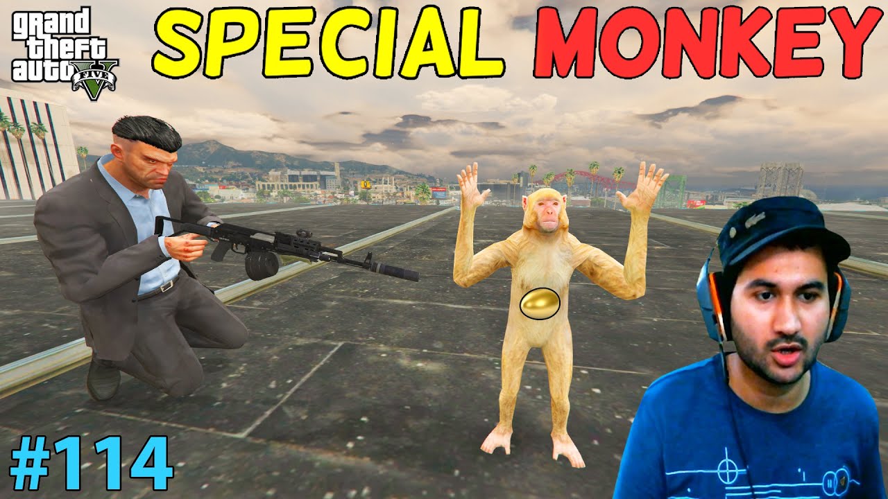 GTA 5 : SPECIAL MONKEY OF LOS SANTOS | GTA5 GAMEPLAY #114 - YouTube