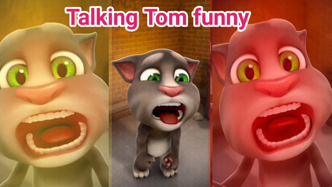 The Cat Gibger.Talking Gibger.have fan and eat a lot with kitten Gibgr ...