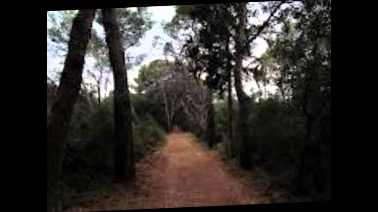 ΣΤΗ ΛΕΩΦΟΡΟ ΤΗΣ ΑΓΑΠΗ.wmv - YouTube