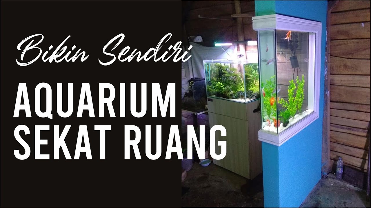 Bikin Sendiri Aquarium Dinding - YouTube