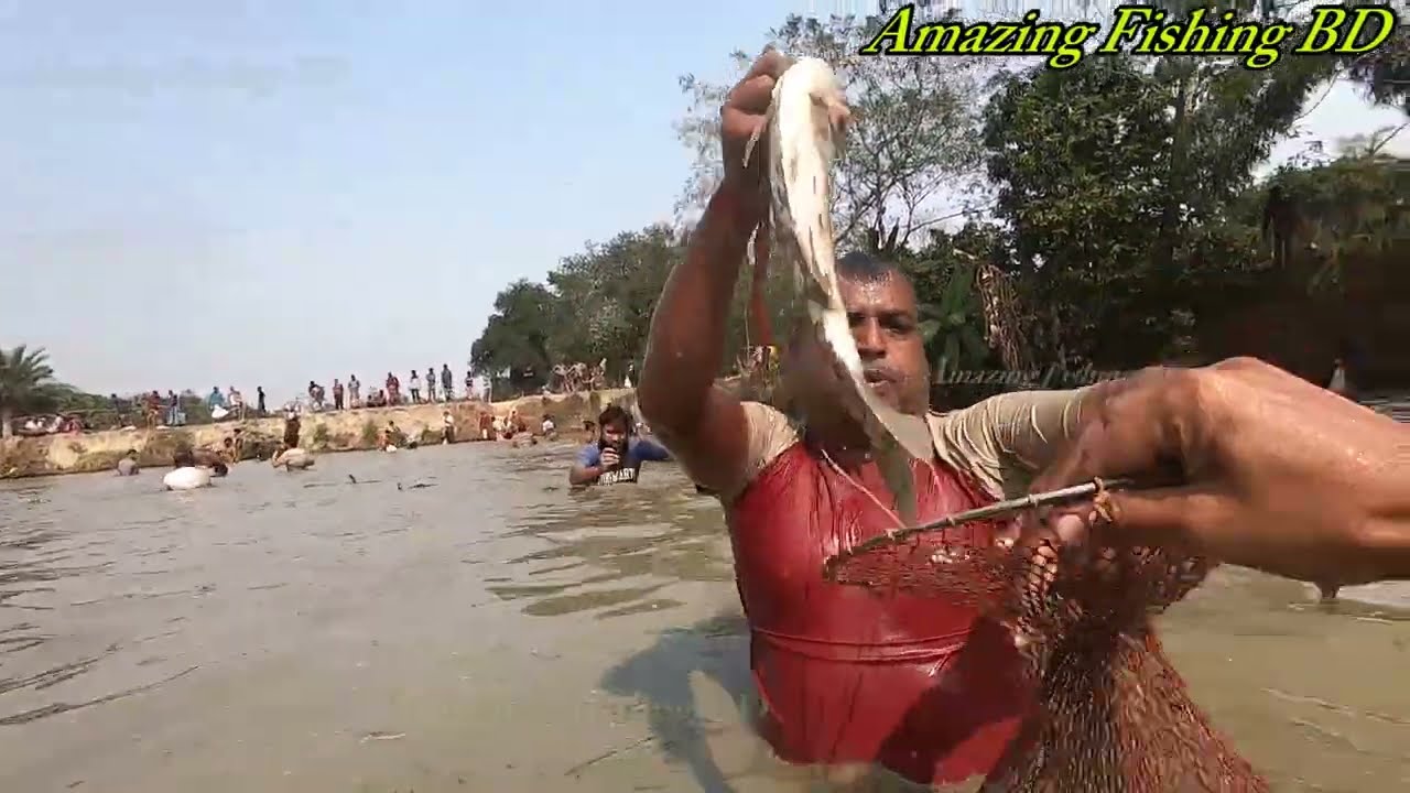 Professional Primitive Fishing | Daily Amazing Fishing - YouTube