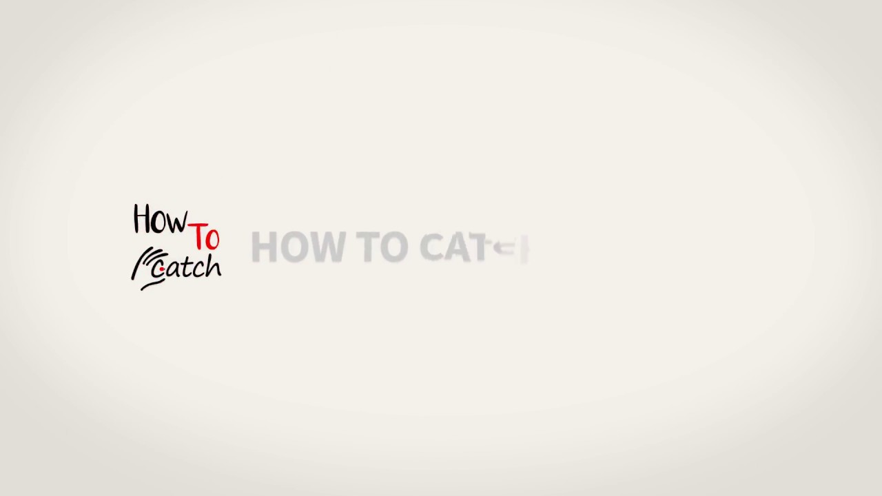 How To Catch Trailer - YouTube