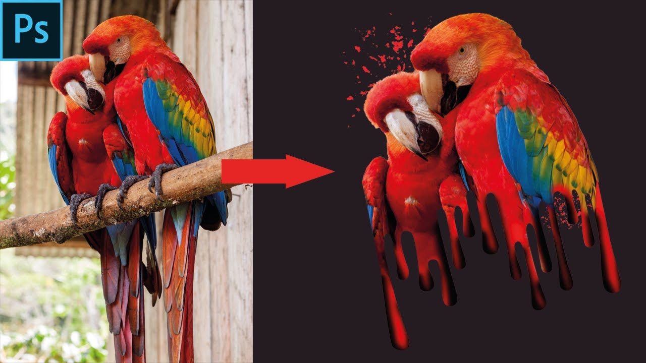 How To Create Dripping Effect Or Splatter Effect In Photoshop In Best ...